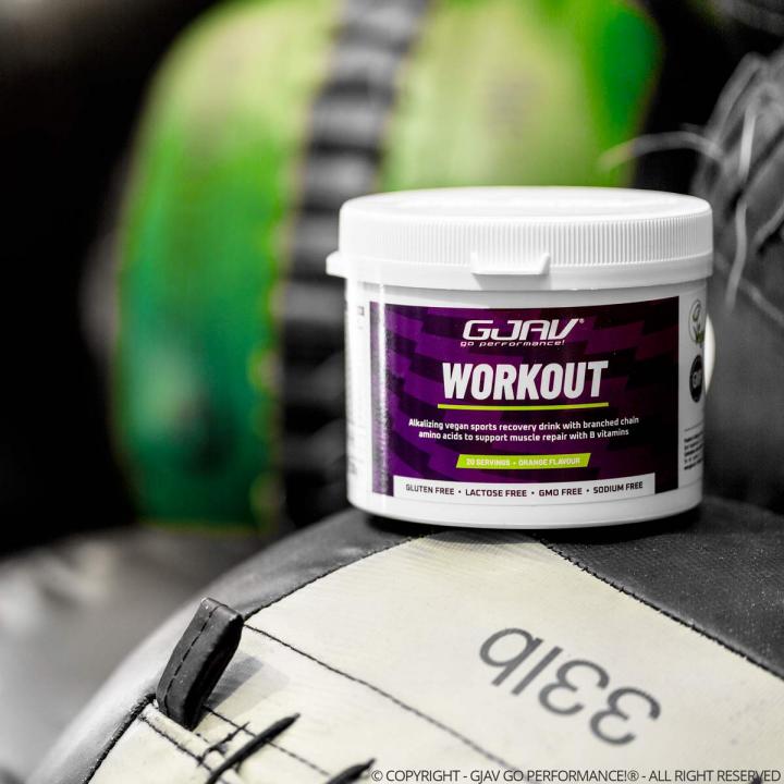 WORKOUT! 200gr. – Apes Lab